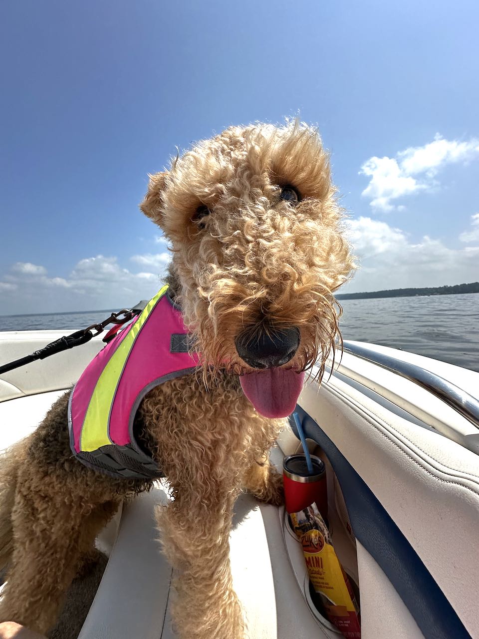 Simba’s Boat Bravery and Other Patriotic Holiday Adventures - Life is ...