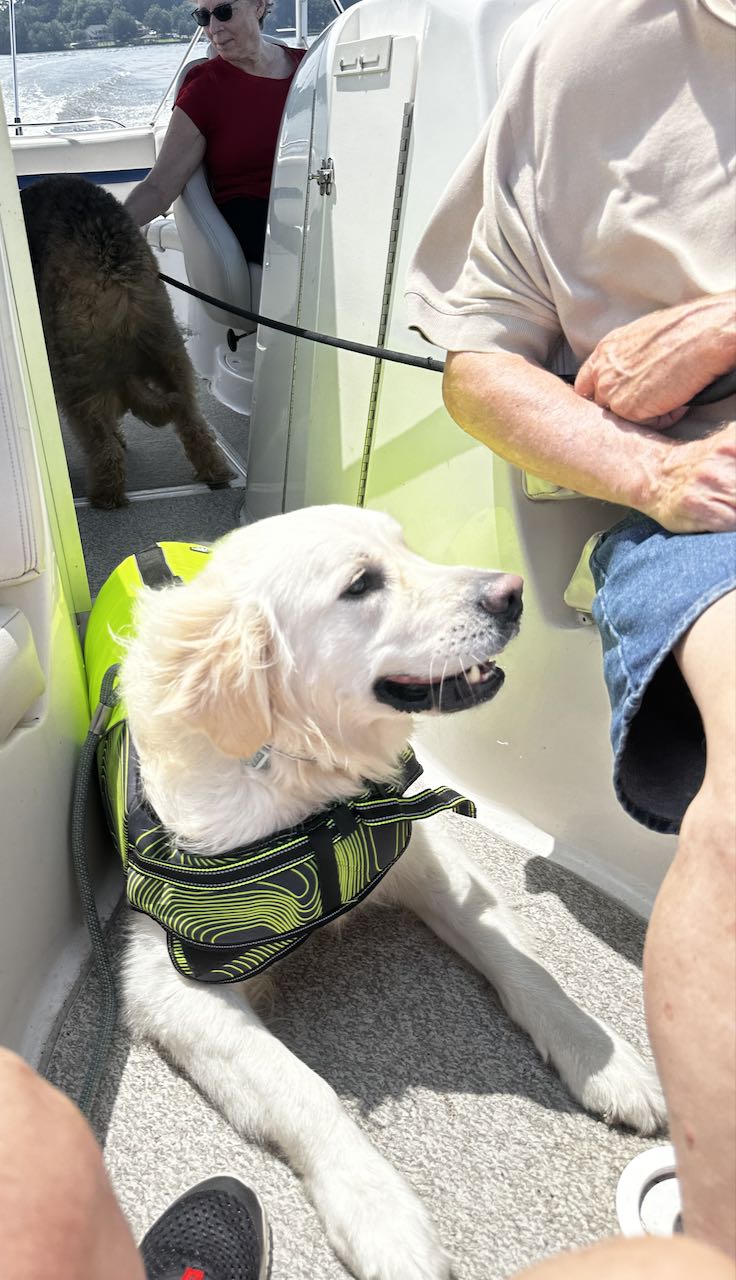 Simba’s Boat Bravery and Other Patriotic Holiday Adventures - Life is ...