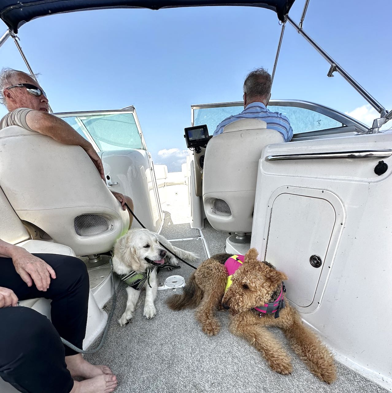 Simba’s Boat Bravery and Other Patriotic Holiday Adventures - Life is ...