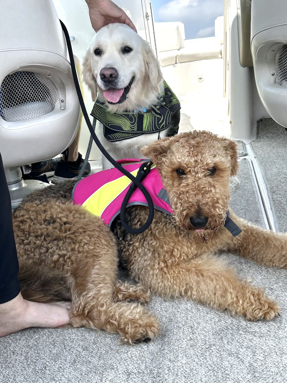 Simba’s Boat Bravery and Other Patriotic Holiday Adventures - Life is ...