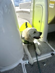 Simba’s Boat Bravery and Other Patriotic Holiday Adventures - Life is ...